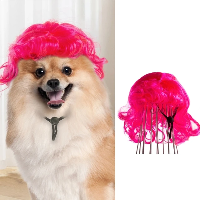 Dogs In Wigs