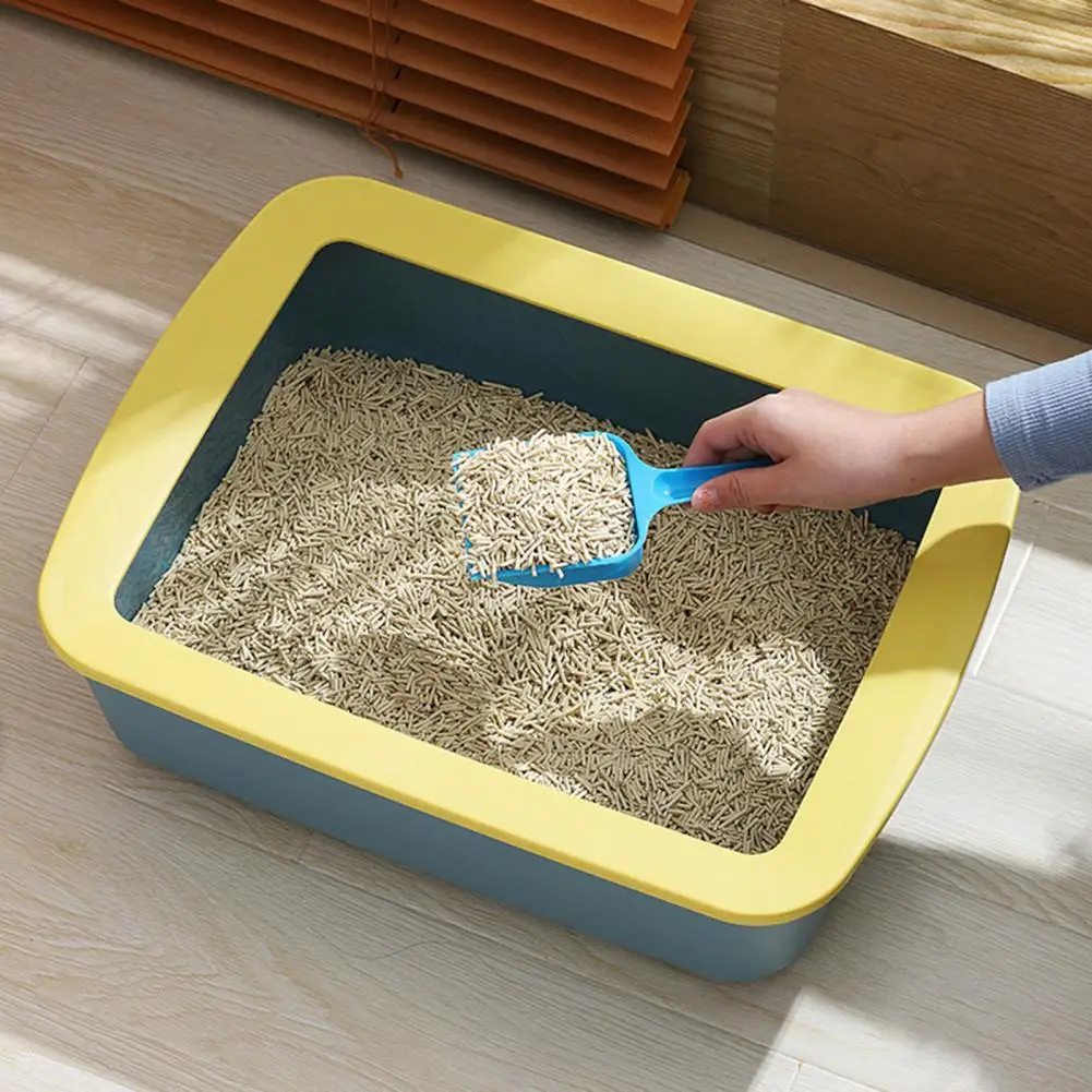 A Poop In Litter Box