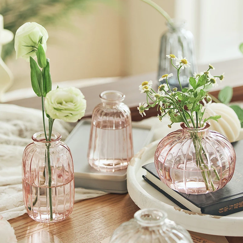 Mini-vase-en-verre-transparent-rose-simple-et-moderne-vase-de-table ...