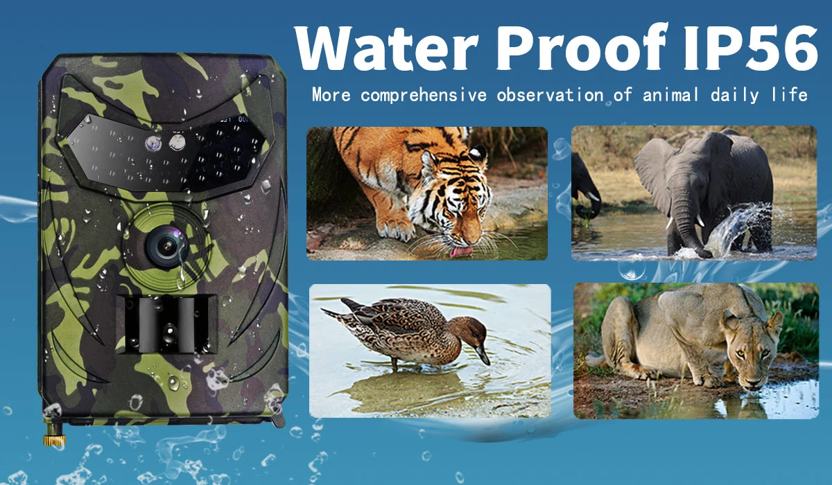 PR100A - Caméra de détection des animaux sauvages 12mp, HD, étanche ...