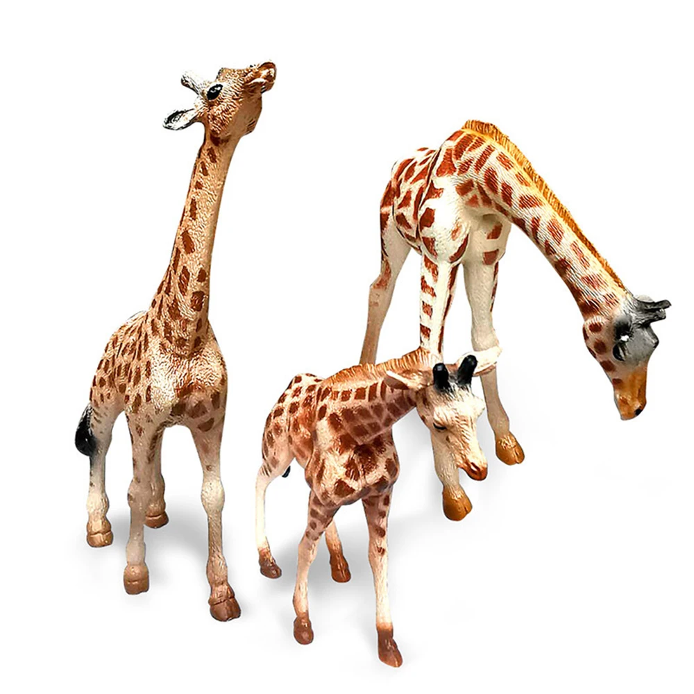 Miniature Giraffe Farm