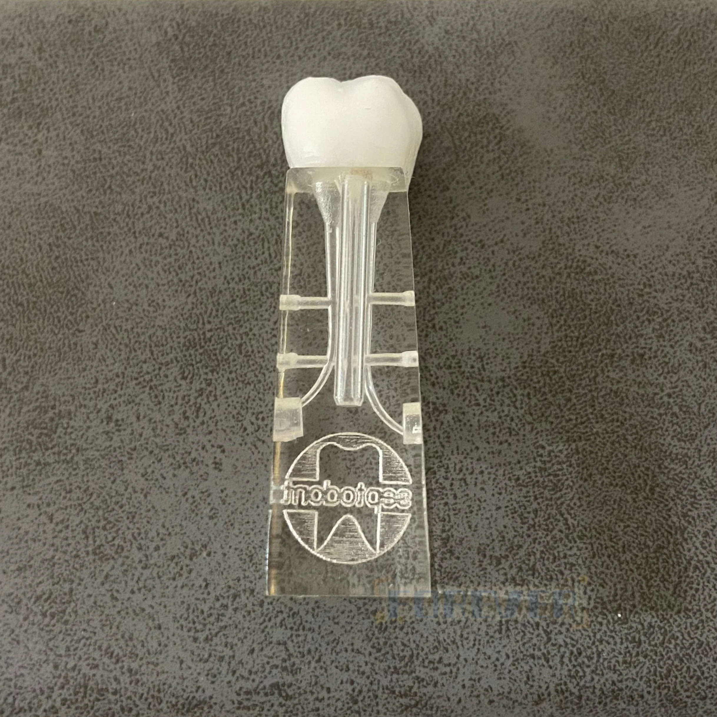 1pcs-Dental-Endo-Files-Molar-Practise-Blocks-Combined-Root-Canal-RCT-7 ...