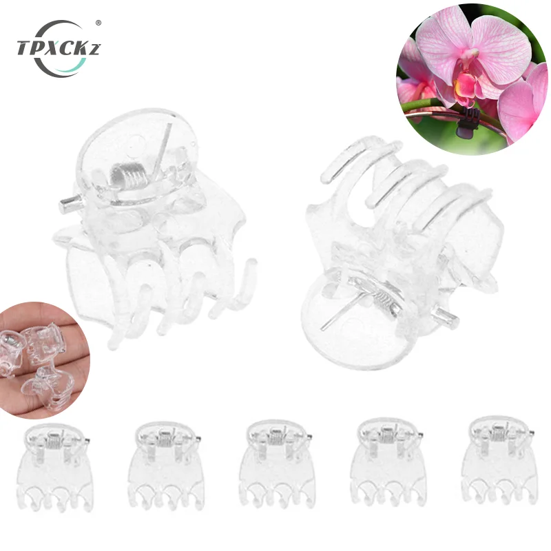 50Pcs-set-Transparent-6-Claws-Orchid-Clips-Plastic-Butterfly-Flowers ...
