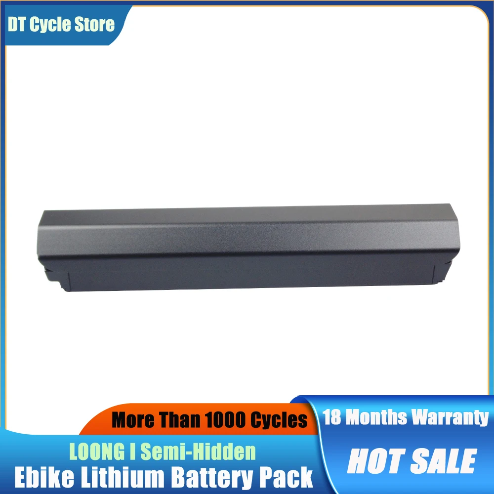 Extra-Removable-Li-ion-48V-15Ah-720Wh-Battery-for-BIKONIT-HD750-Warthog ...