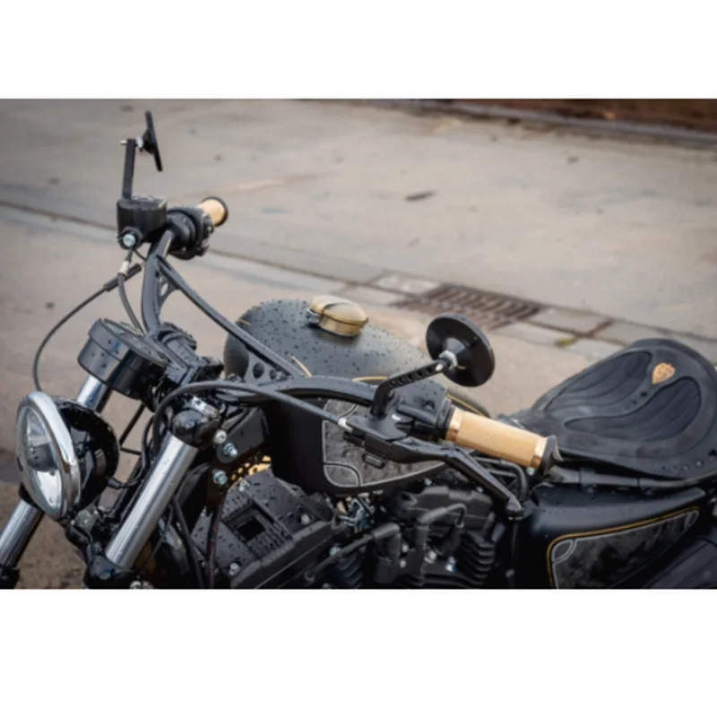 Sportster Springer Bobber