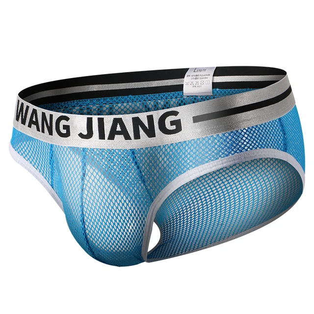 Wangjiang Mesh Transparent Mens Underwear Briefs Bulge Pouch Summer Breathable Underpant Youth ...