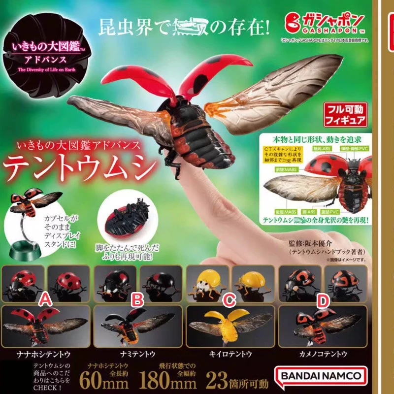 BANDAI-figura-de-Gashapon-Kawaii-Original-de-Jap-n-bonito-Mapa-de ...