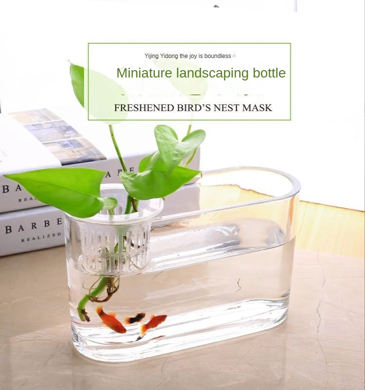 Aquarium,Réservoir de poisson en verre Transparent, bureau Simple, Pot ...