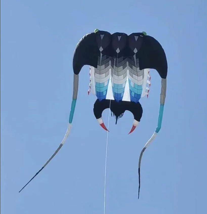 professional giant kite wind kites Trilobite soft Kite flying kites for ...