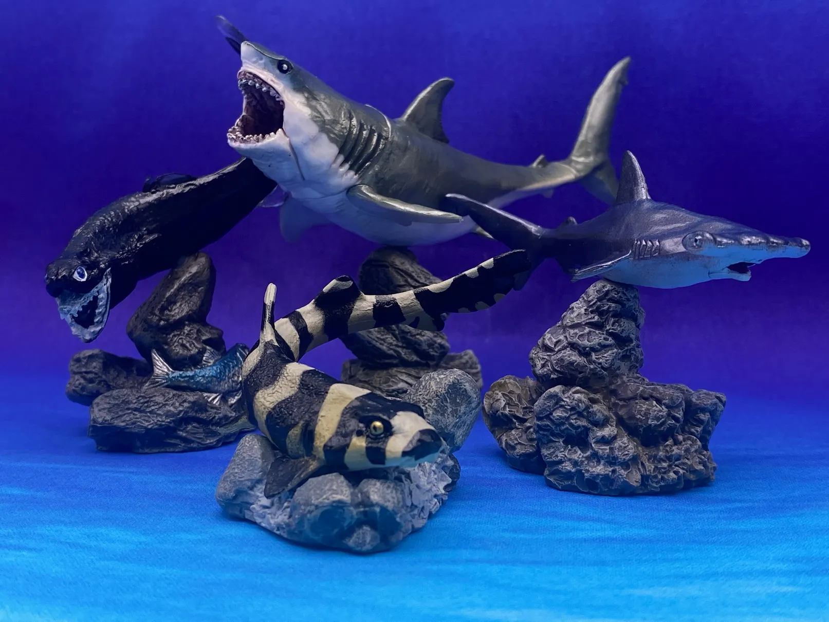 GACHA Ecological Atlas FIGURE MINI Shark Hammerhead Shark Hammerhead ...