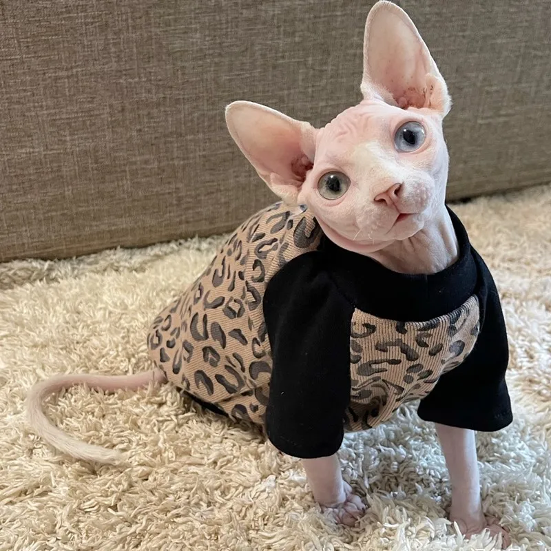 Primavera moda sphynx gato sweatershirt gato sem pêlos leopardo pintura ...