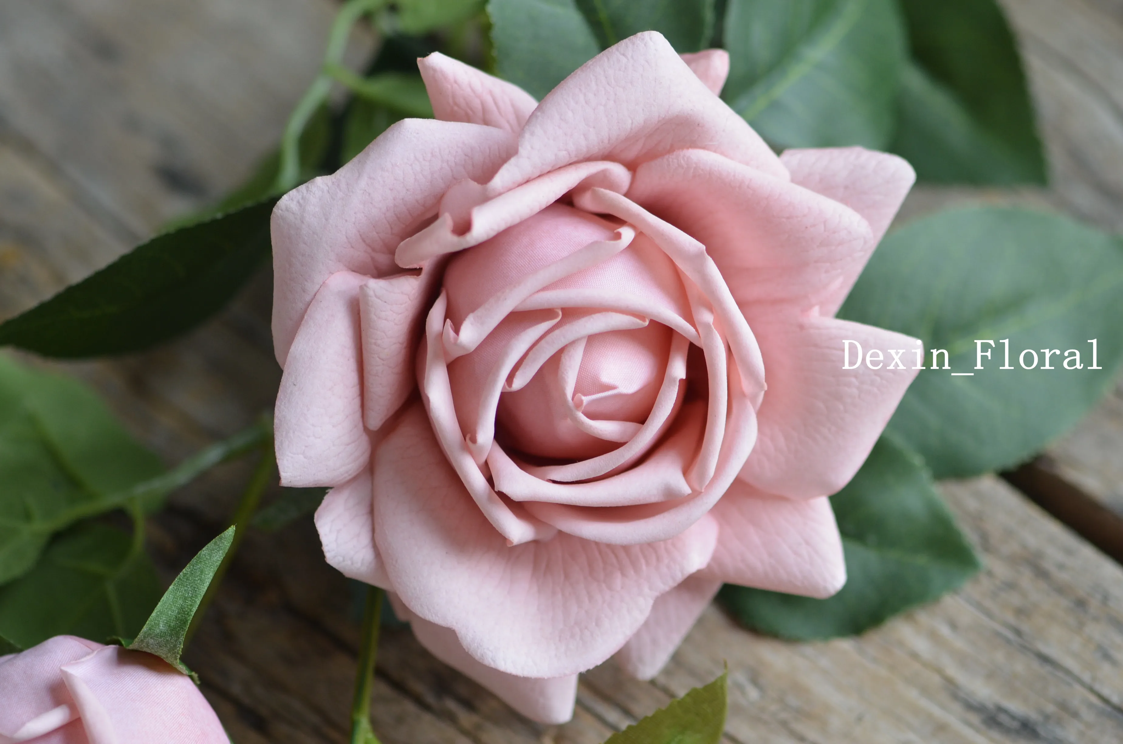 Dusty Rose Color Flowers