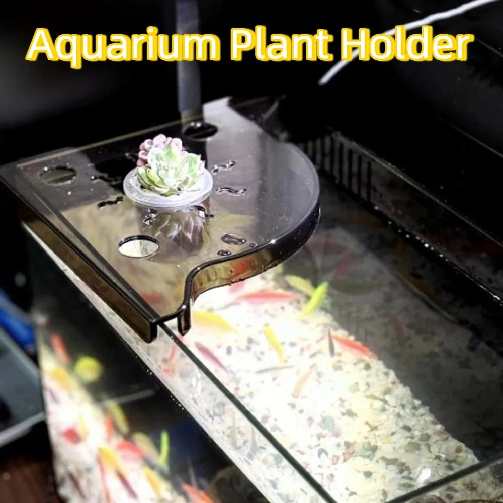 Triangle Fish Tank Corner Storage Rack Punch-free Clear Corner Fish ...