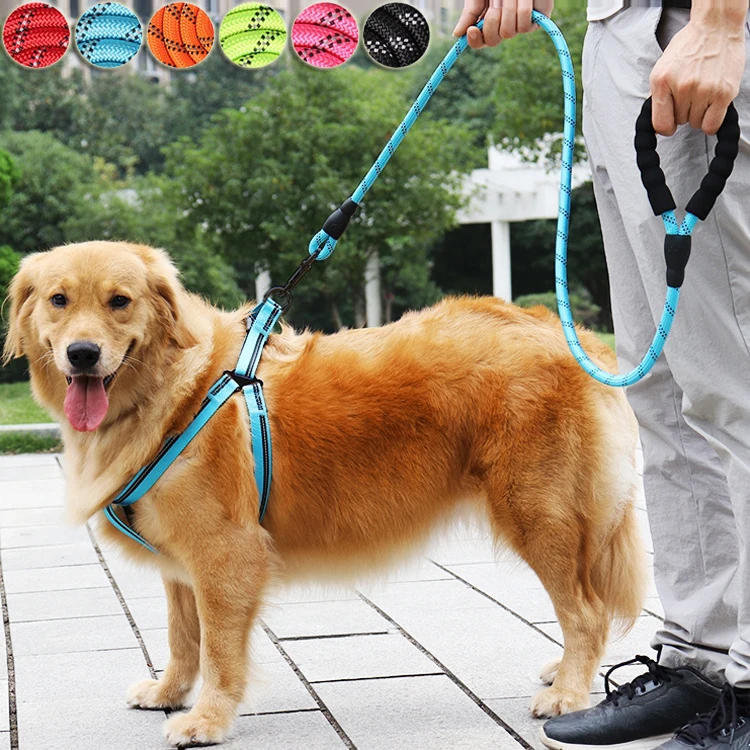 150/200/300cm Strong Dog Leash Pet Leashes Reflective Leash For Big ...