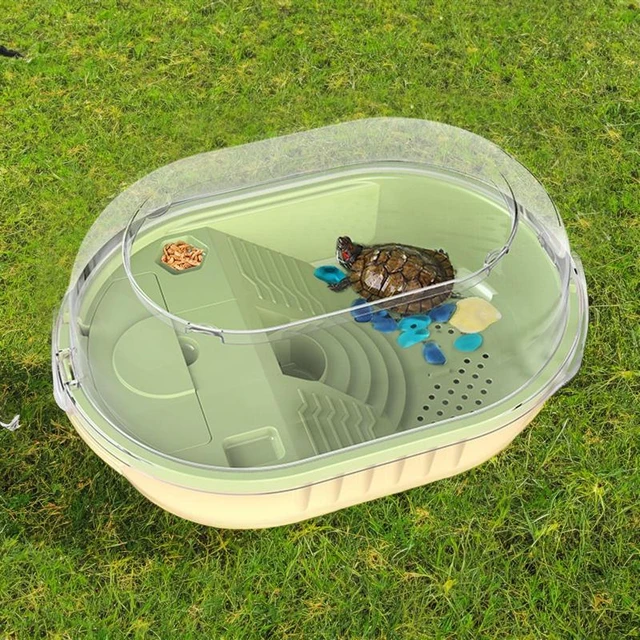 Pet Tortoise Habitat