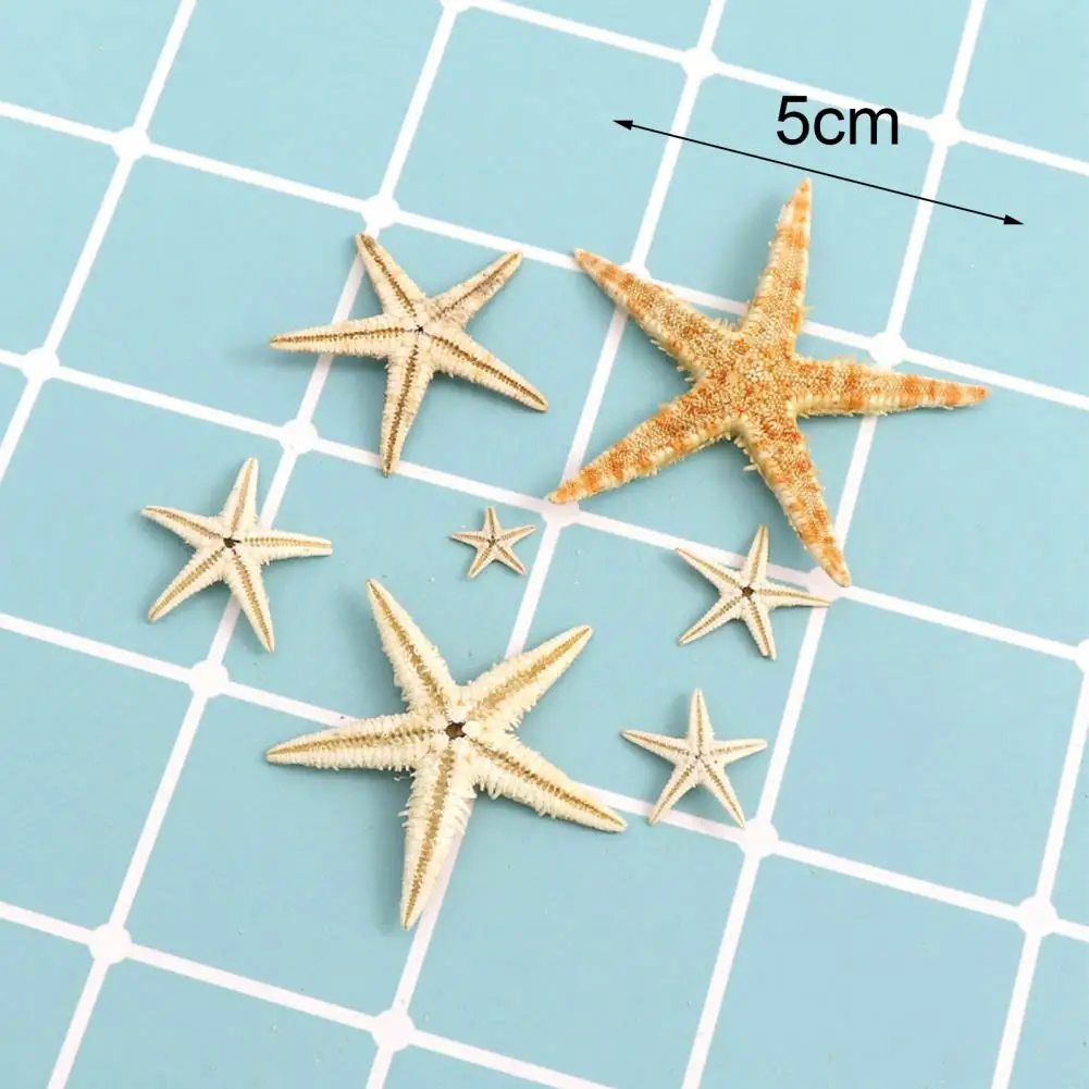1-Box-High-Quality-White-Starfish-Reusable-Starfish-Cute-Realistic ...
