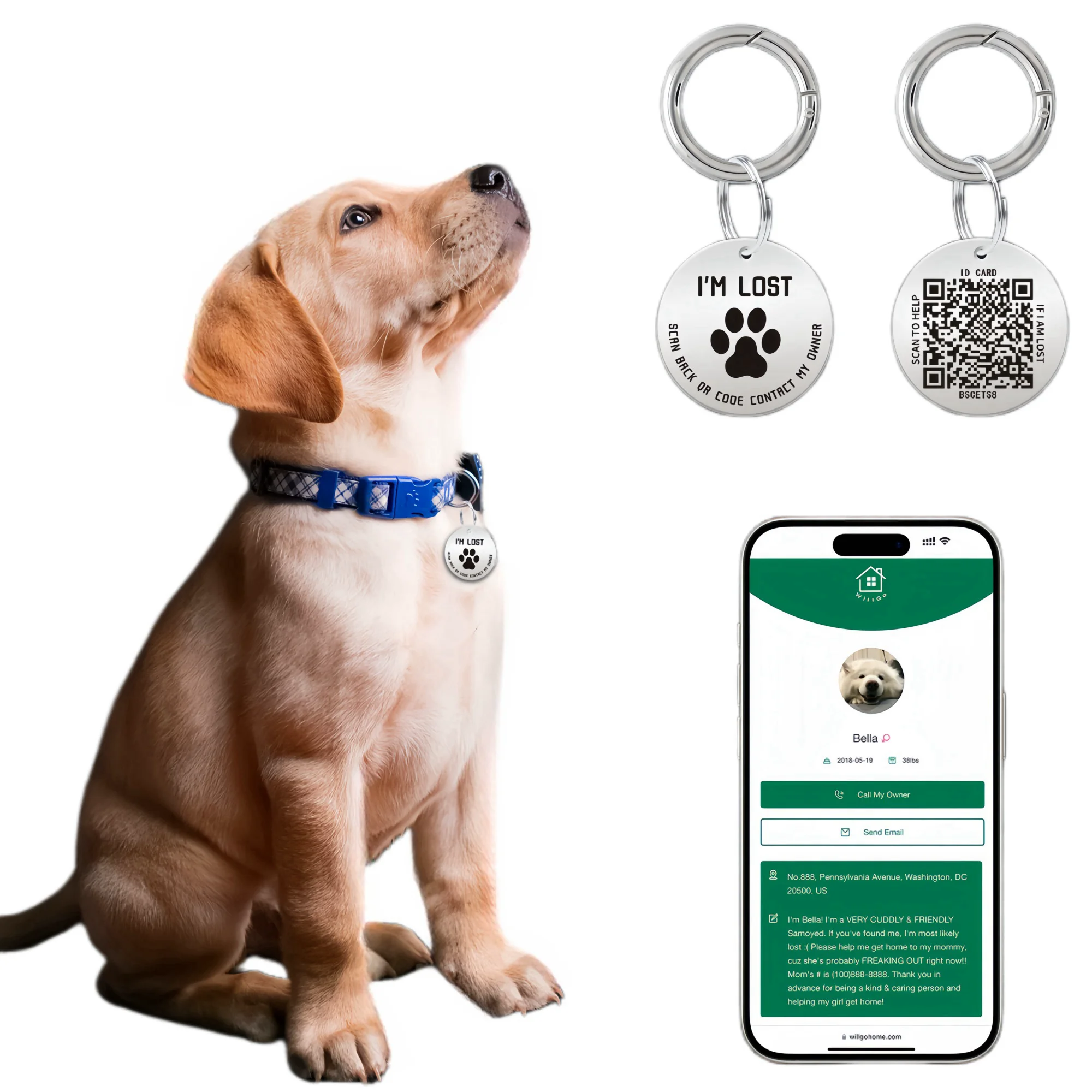 Pet-ID-Tags-Scan-QR-Code-Receive-Instant-Location-Alert-Email-Smart-Dog ...