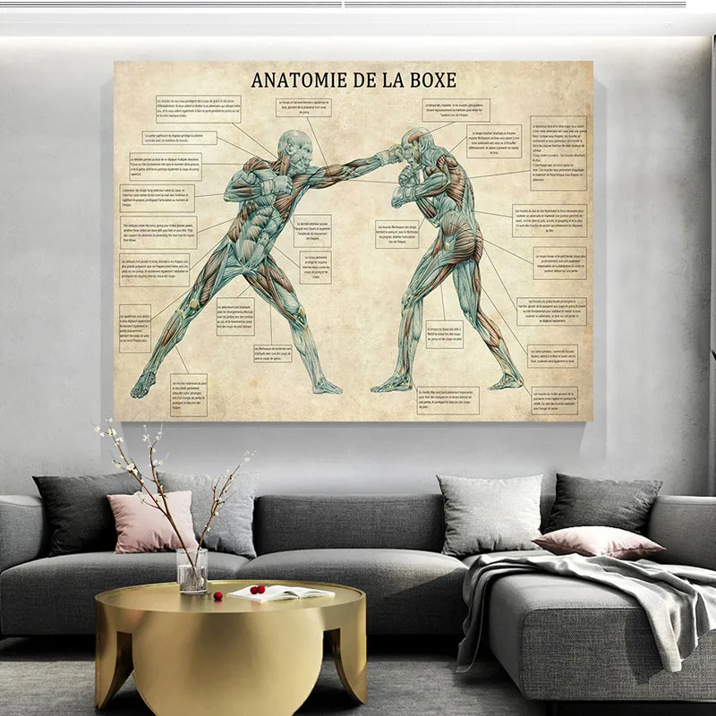 Canvas Boxing Body Anatomy Posters | Vintage Boxing Pictures | Abstract ...