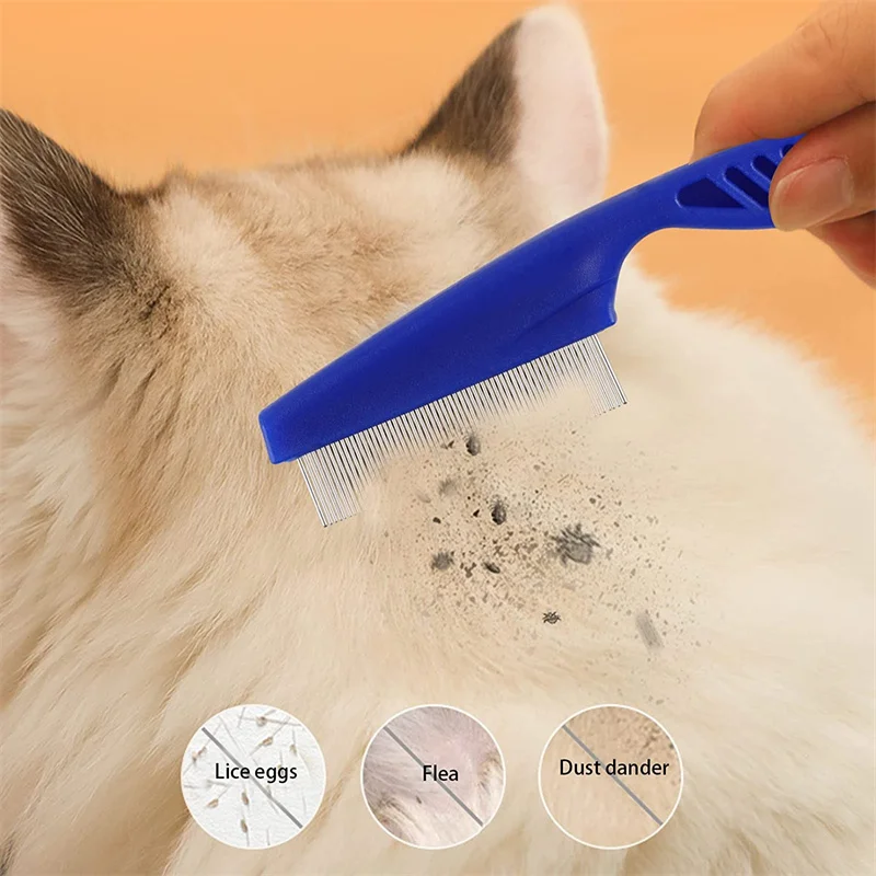 Dog Lice Eggs