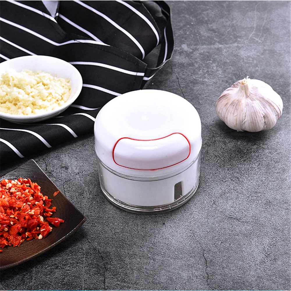 Hand Press for Garlic Chop Professional Stainless Steel Garlic Presser ...