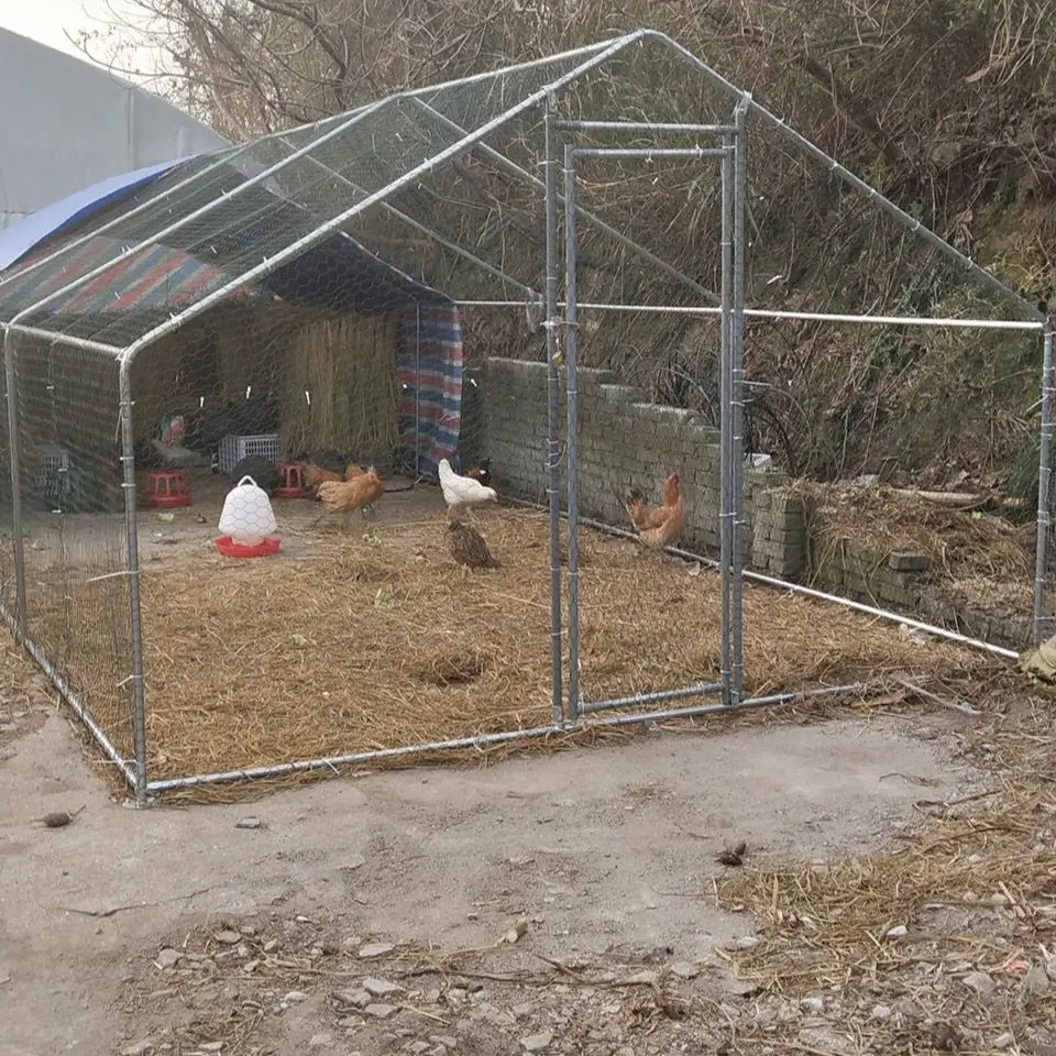 Domestic-breeding-shed-skeleton-pet-Poultry-farming-breeding-shed-duck ...