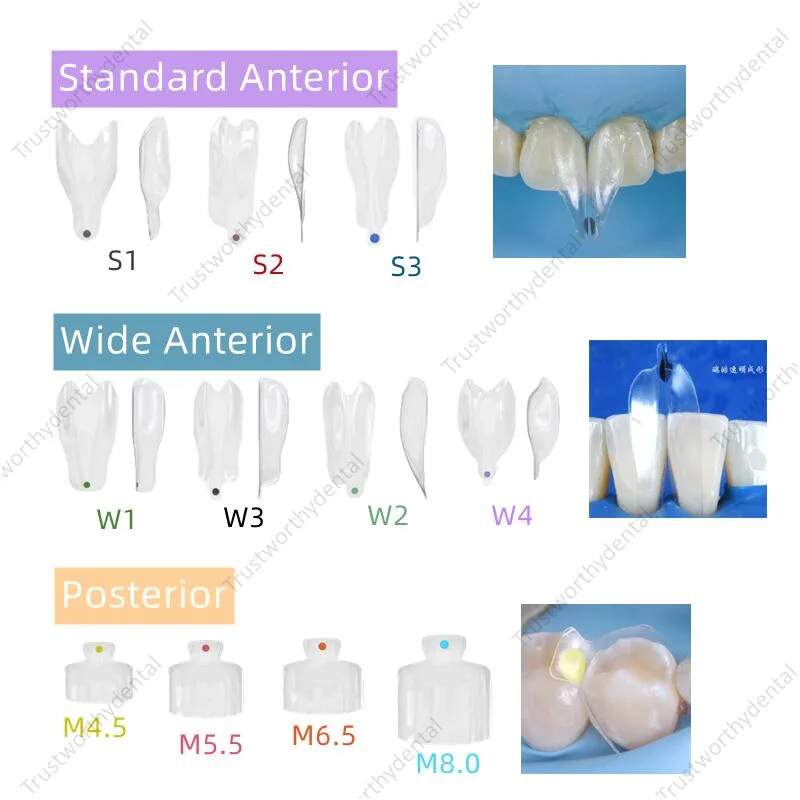 5Pieces Dental Clear Matrix Anterior/Posterior Teeth Transparent Matrix ...