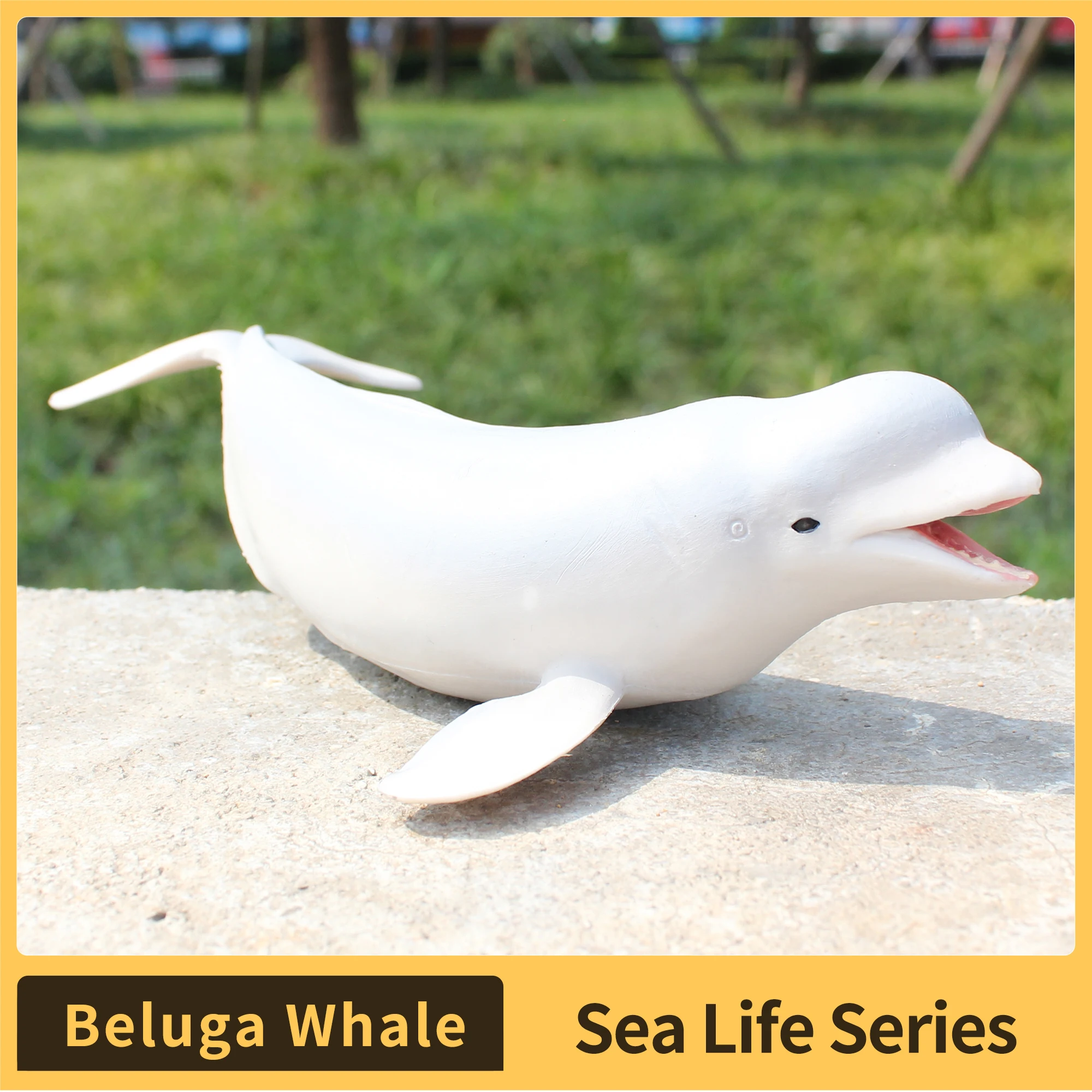 Sea life Realistic White Whale Marine Animal Toy Action Figure Perfect ...