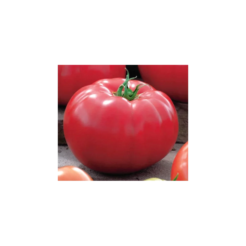 Sc0d125fde1904a17a74ff7cca819643c5.png