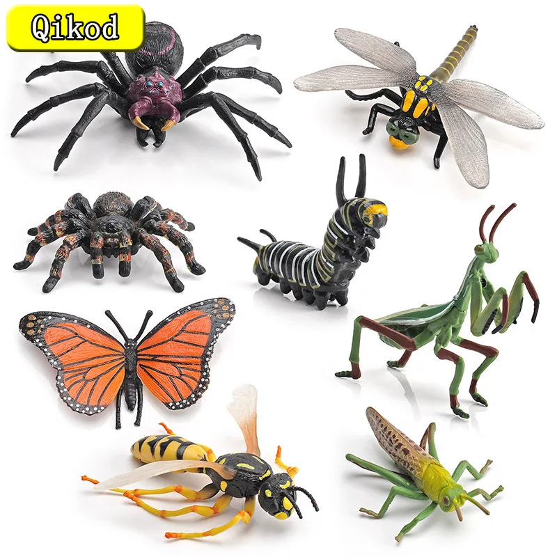 Insect-Animals-Model-Butterfly-Mantis-Spider-Grasshopper-Dragonfly ...