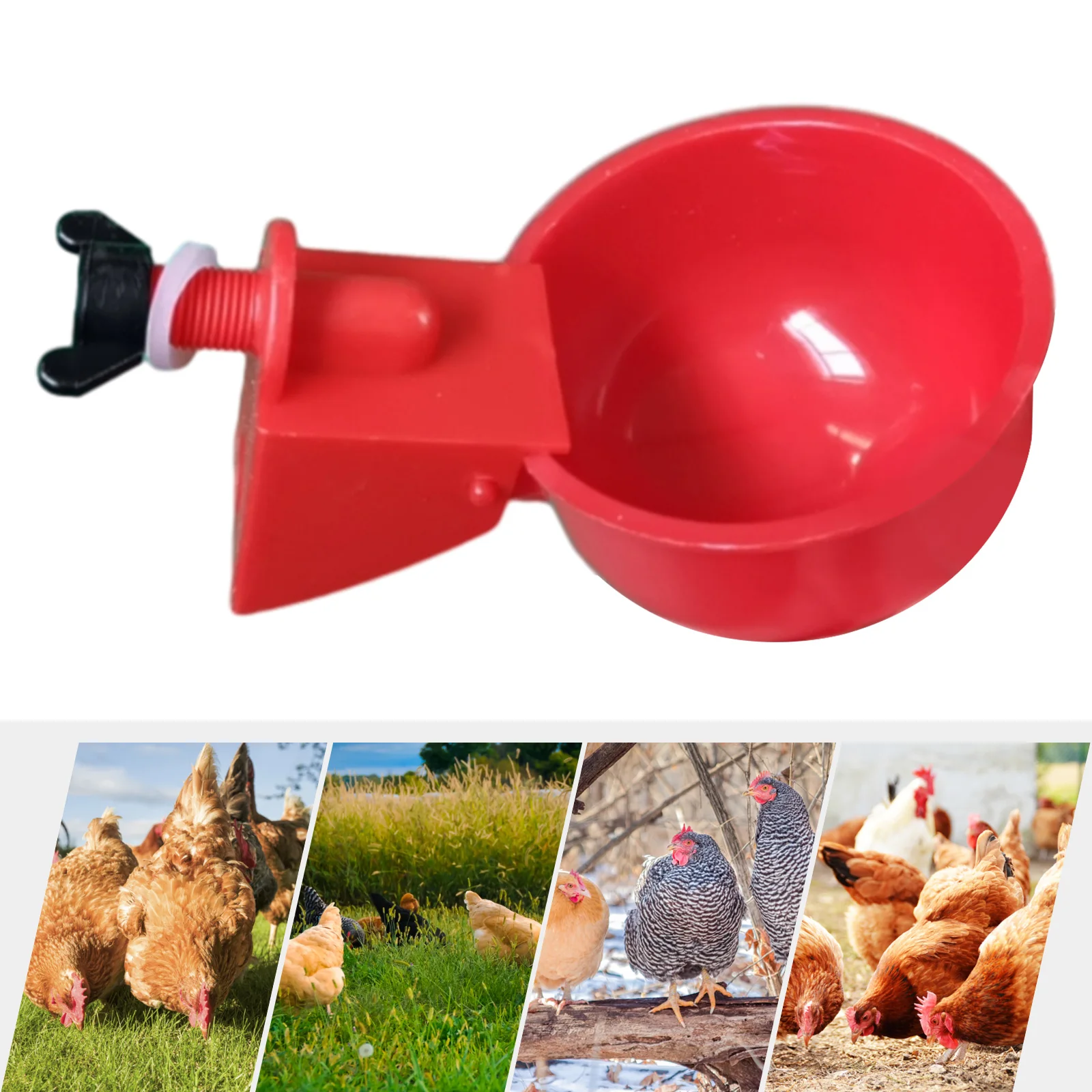 6Pcs-Poultry-Drinking-Bowl-Feeder-Automatic-Chicken-Feeder-Livestock ...