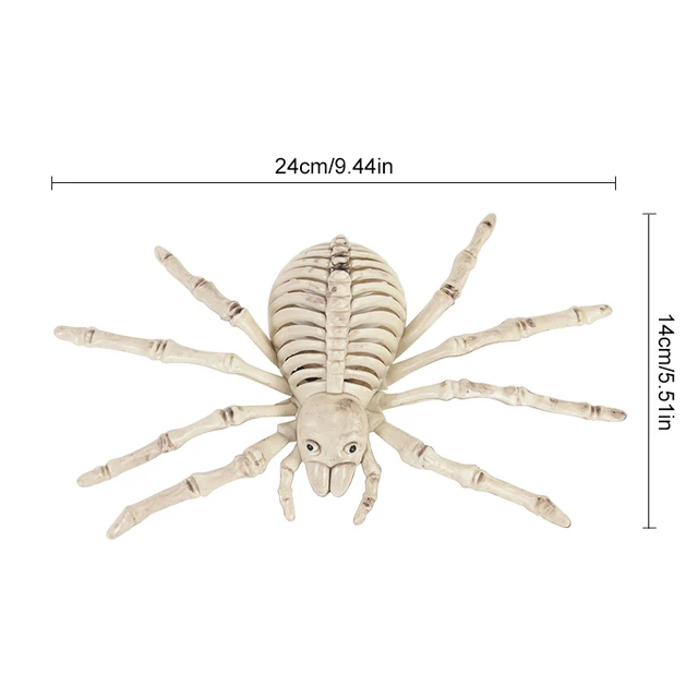 Store Home Products Outdoor Fun Feedback