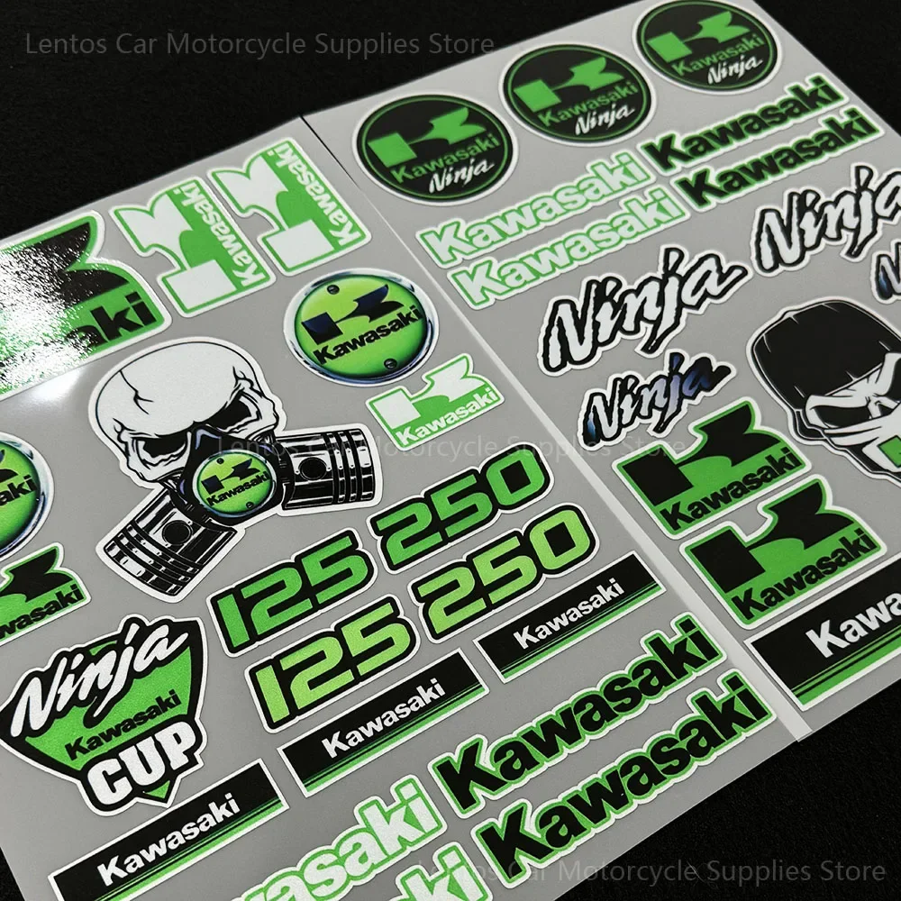 Skull-Kawasaki-Ninja-Green-Fuel-Tank-Body-Shock-Absorptio-Motorcycle ...