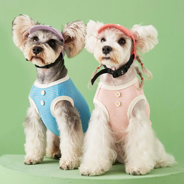 Yorkie Clothes For Females Wholesale Shop | www.pinnaxis.com