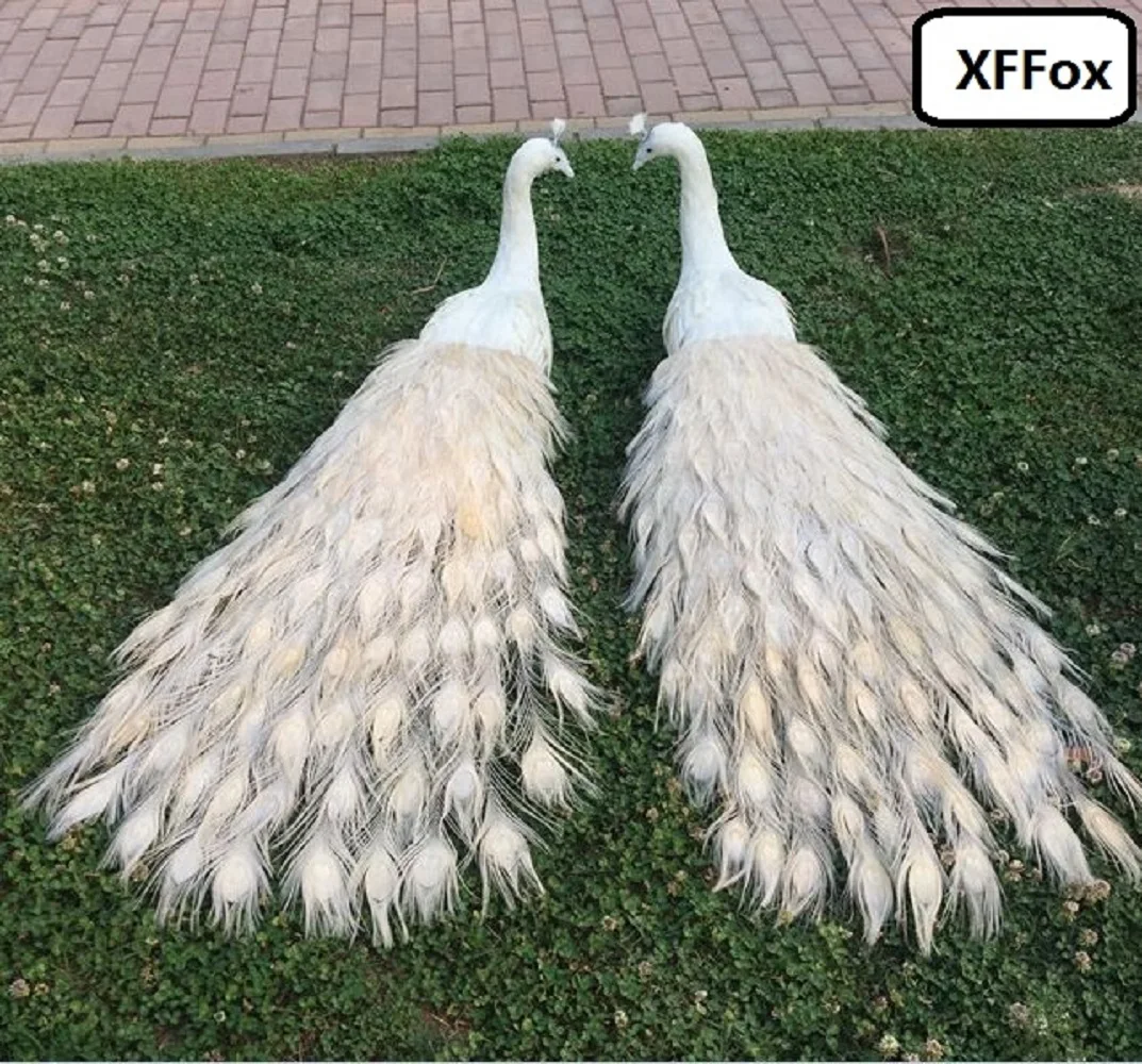 a-pair-of-new-real-life-peacock-models-foam-feather-simulation ...