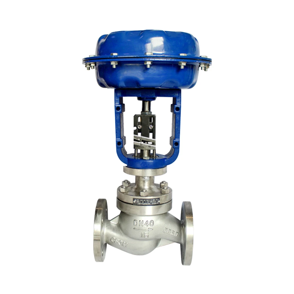 Globe Control Valve