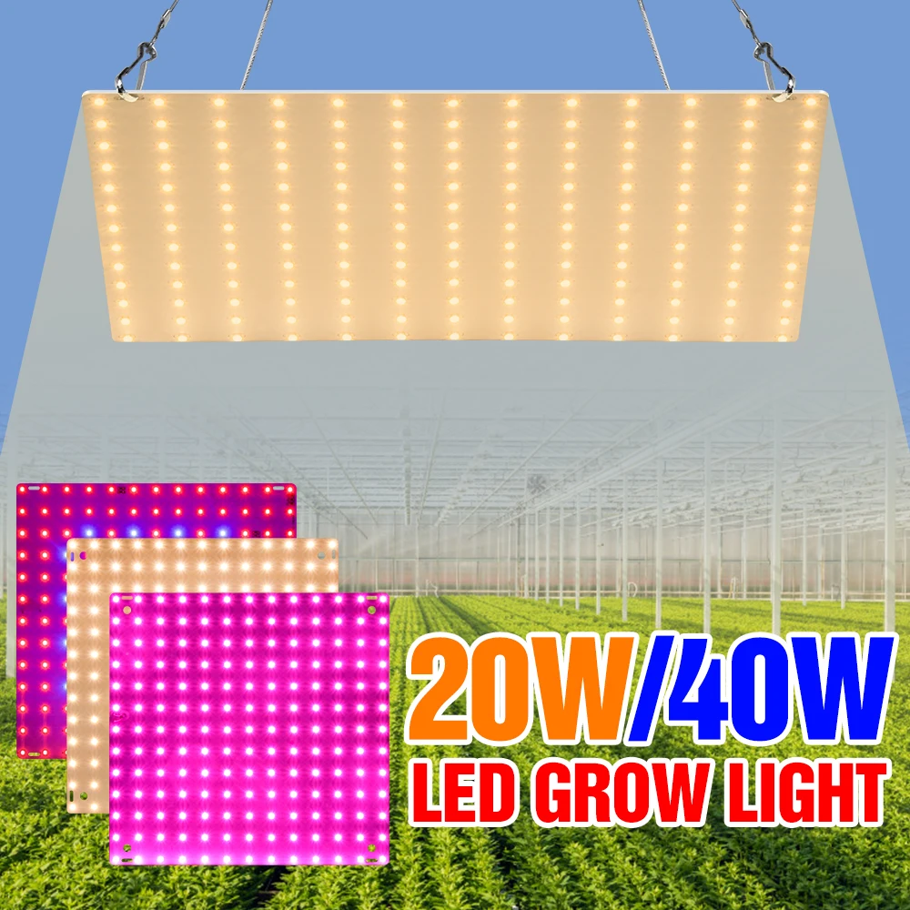 LED-Grow-Light-Full-Spectrum-Quantum-Board-Phytolamp-Indoor-Plants ...