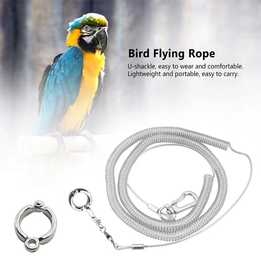 Belt for Bird: The Ultimate Guide to Choosing the Right Flexible Leg ...