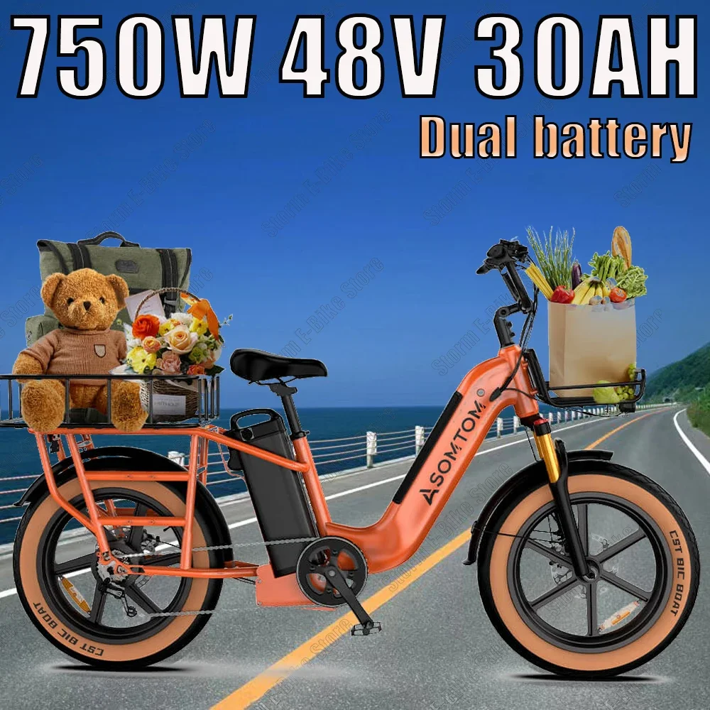 Transport-Electric-Bike-750W-powerful-motor-48V30AH-large-battery-load ...