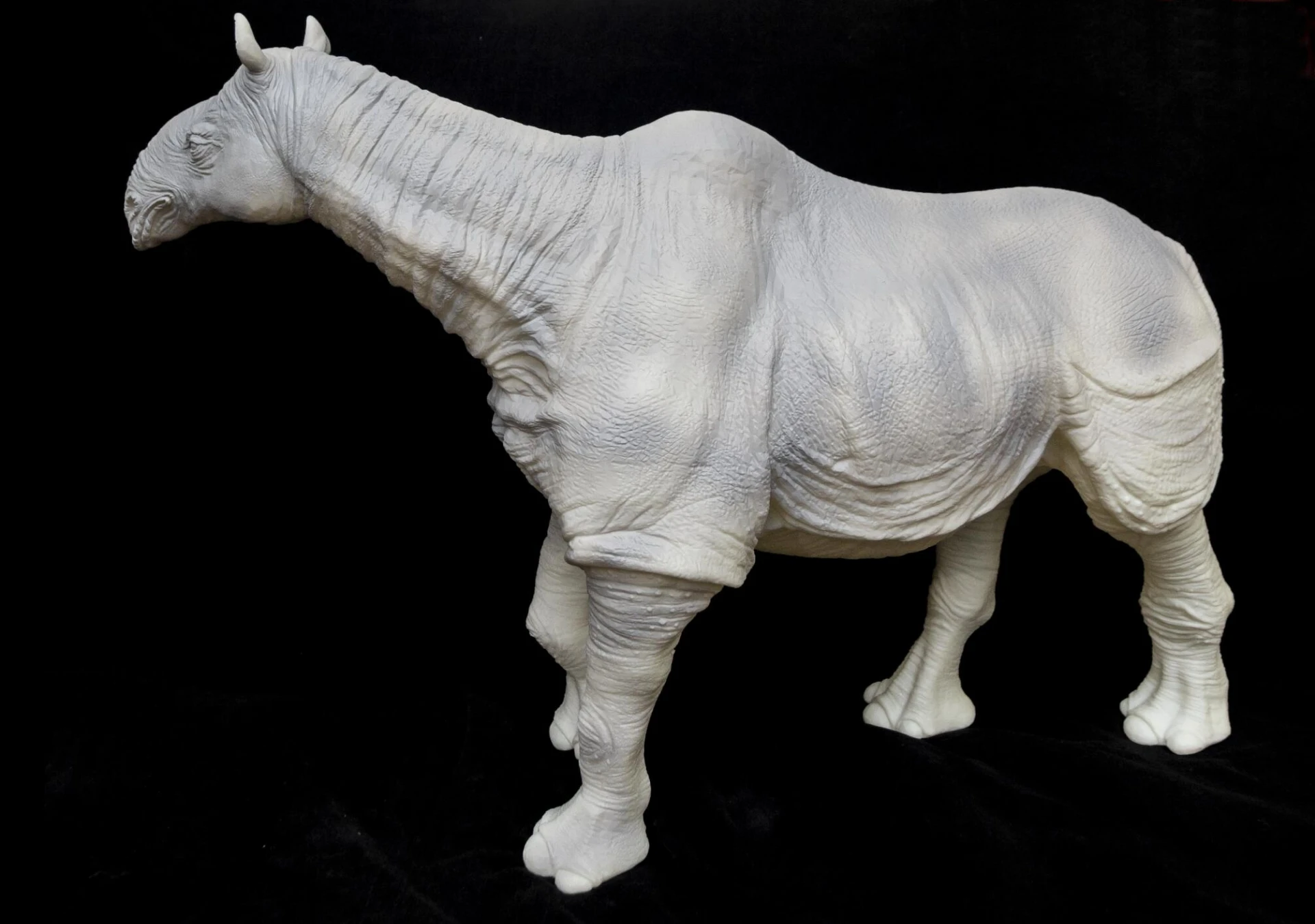 Indricotherium Model