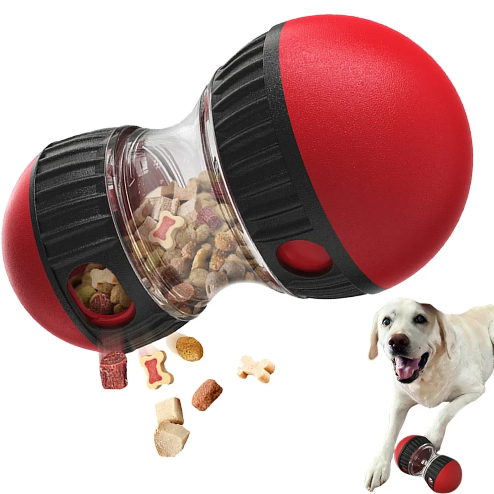 Outdoor Dog Games: Fun and Engaging Activities for Your Canine Companion
