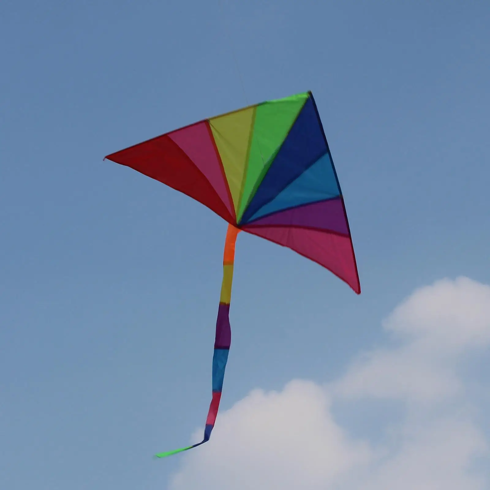 Giant Delta Kites
