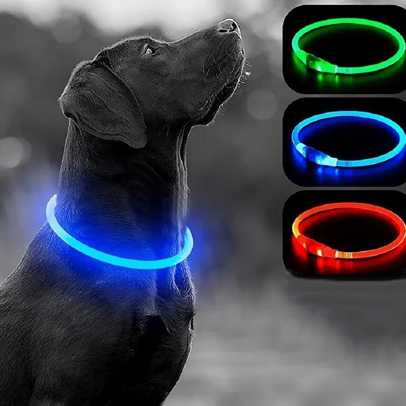 Led-Dog-Collar-Luminous-Usb-Cat-Dog-Collar-3-Modes-Led-Light-Glowing ...