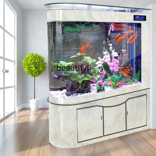 Modern Fish Tank