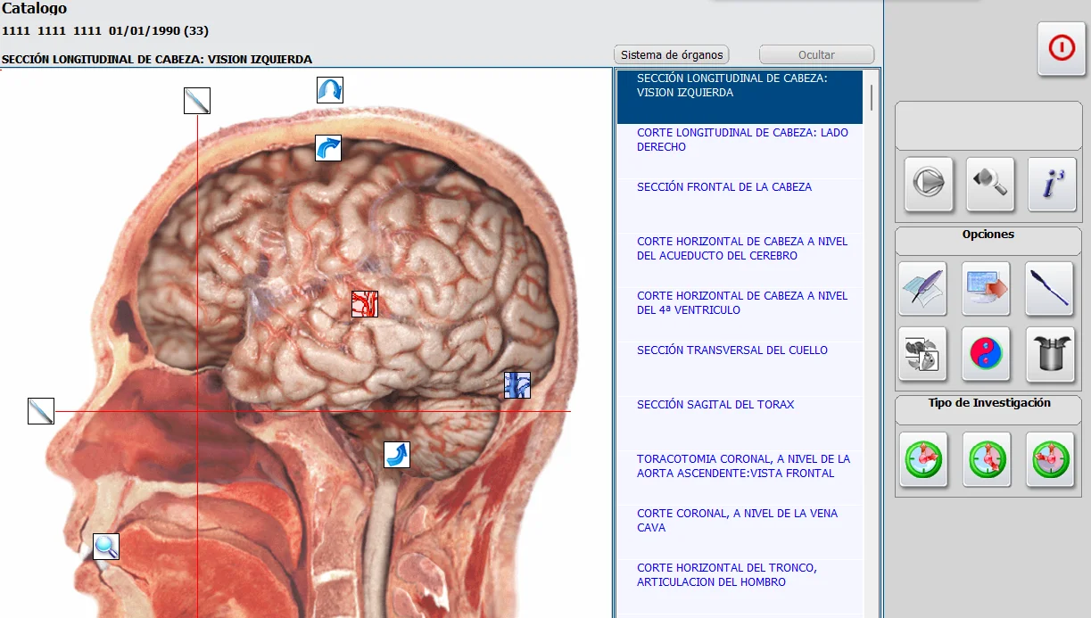 Aura Chakras Meta Hunter 4025 and 18D NLS Non-Linear Metatron System ...