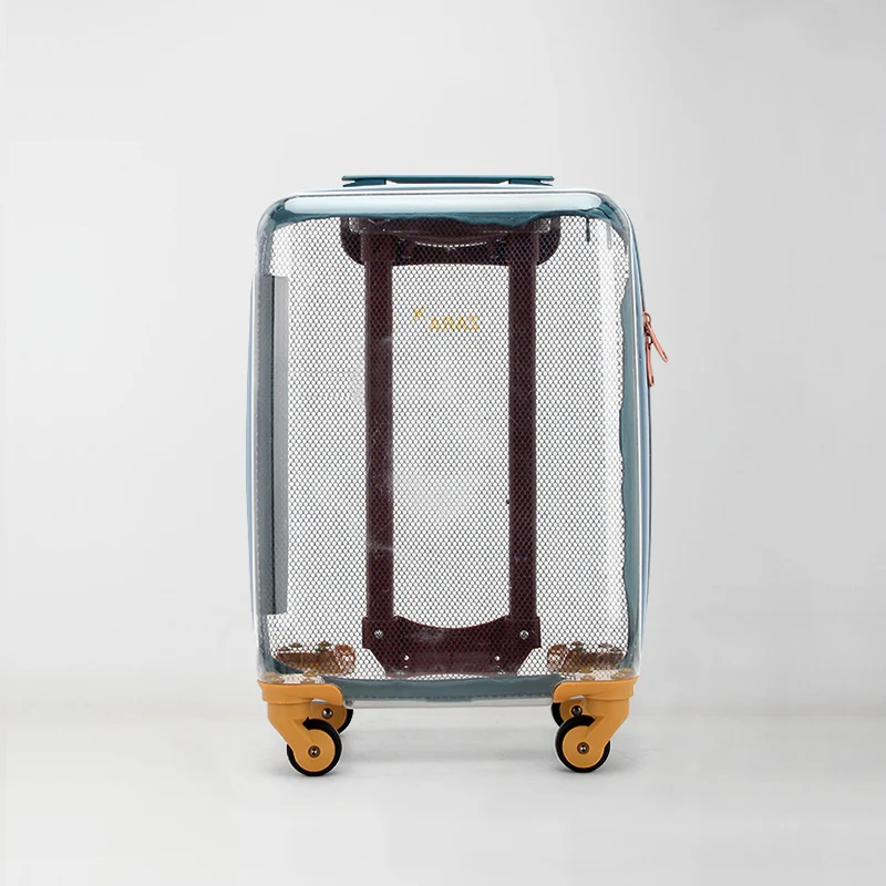 Transparent-Suitcase-20-inch-Small-Light-Boarding-Luggage-Cabin-Size ...