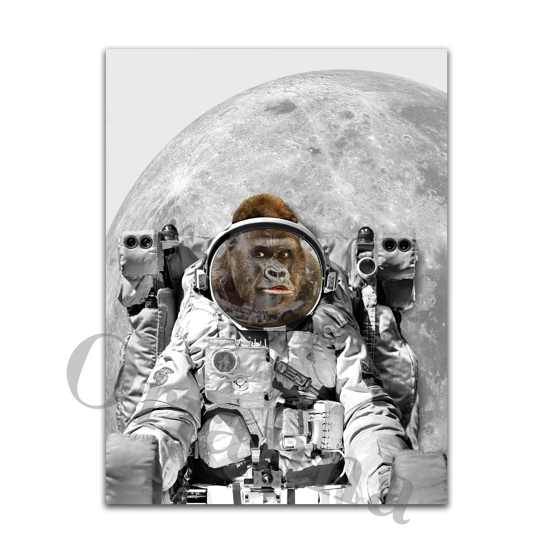 Silly Monkey Astronauts