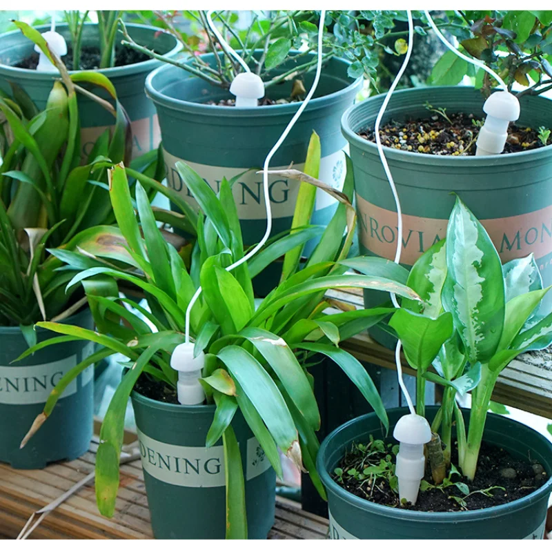 10Pcs-Automatic-Flower-Watering-Device-Waterer-Go-Business-Travel-Auto ...