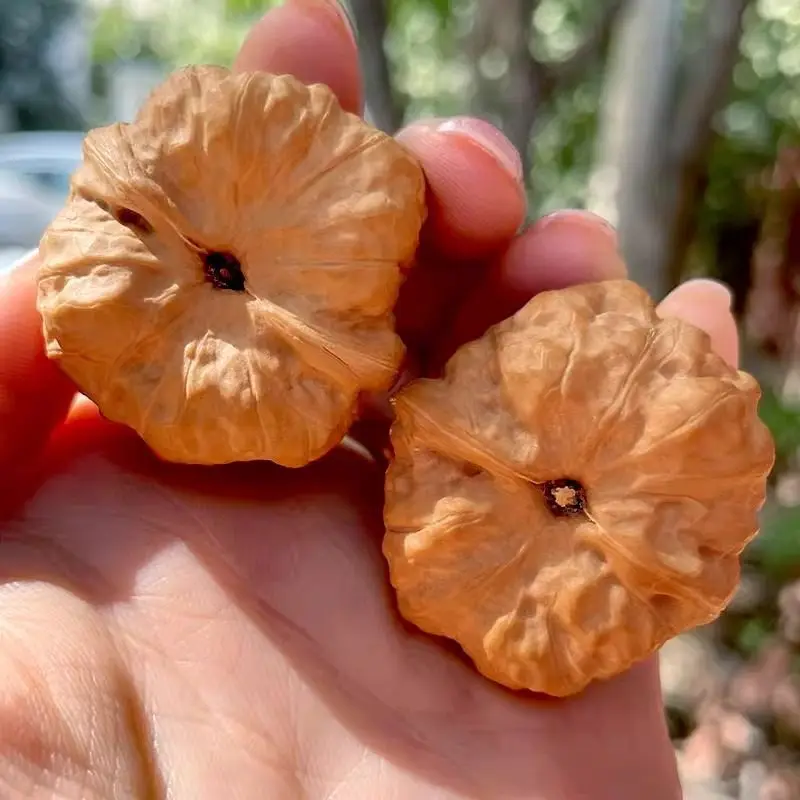 Open-Back Wenwan Short Stump Stubby Old Tree Yanqing Golden Hand ...