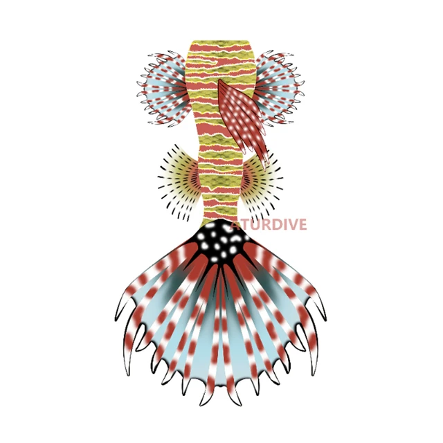 Lionfish Mermaid Drawing