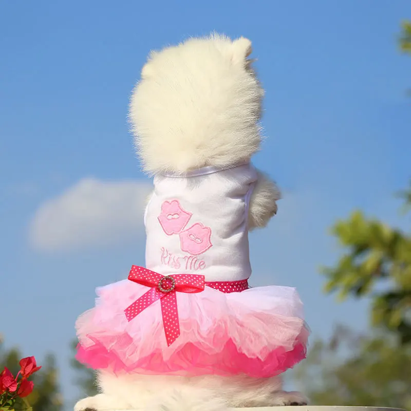 Sweet Princess Dress For Cute Dogs – DogMega.Com